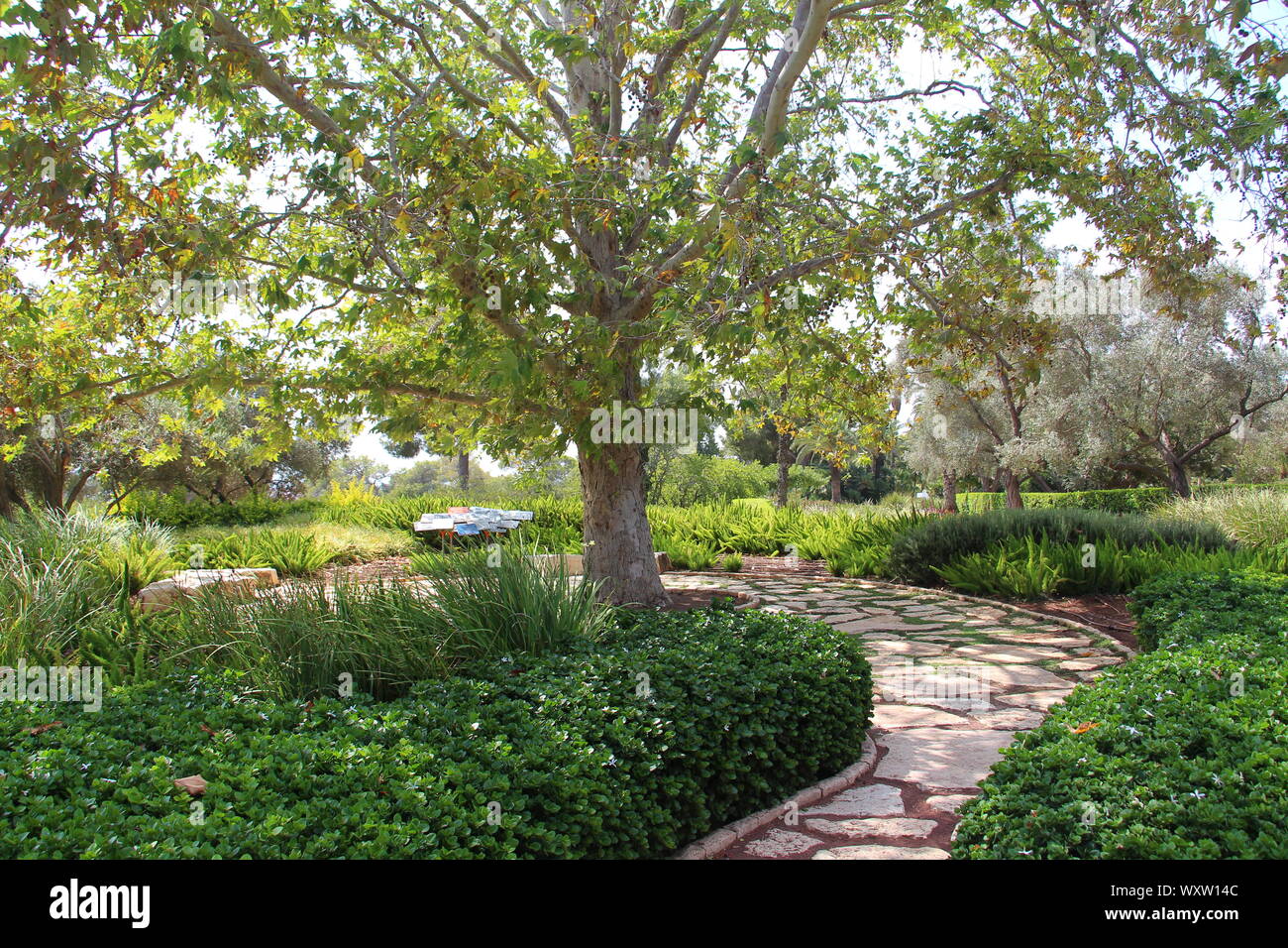 Garden in Israel Stock Photo - Alamy
