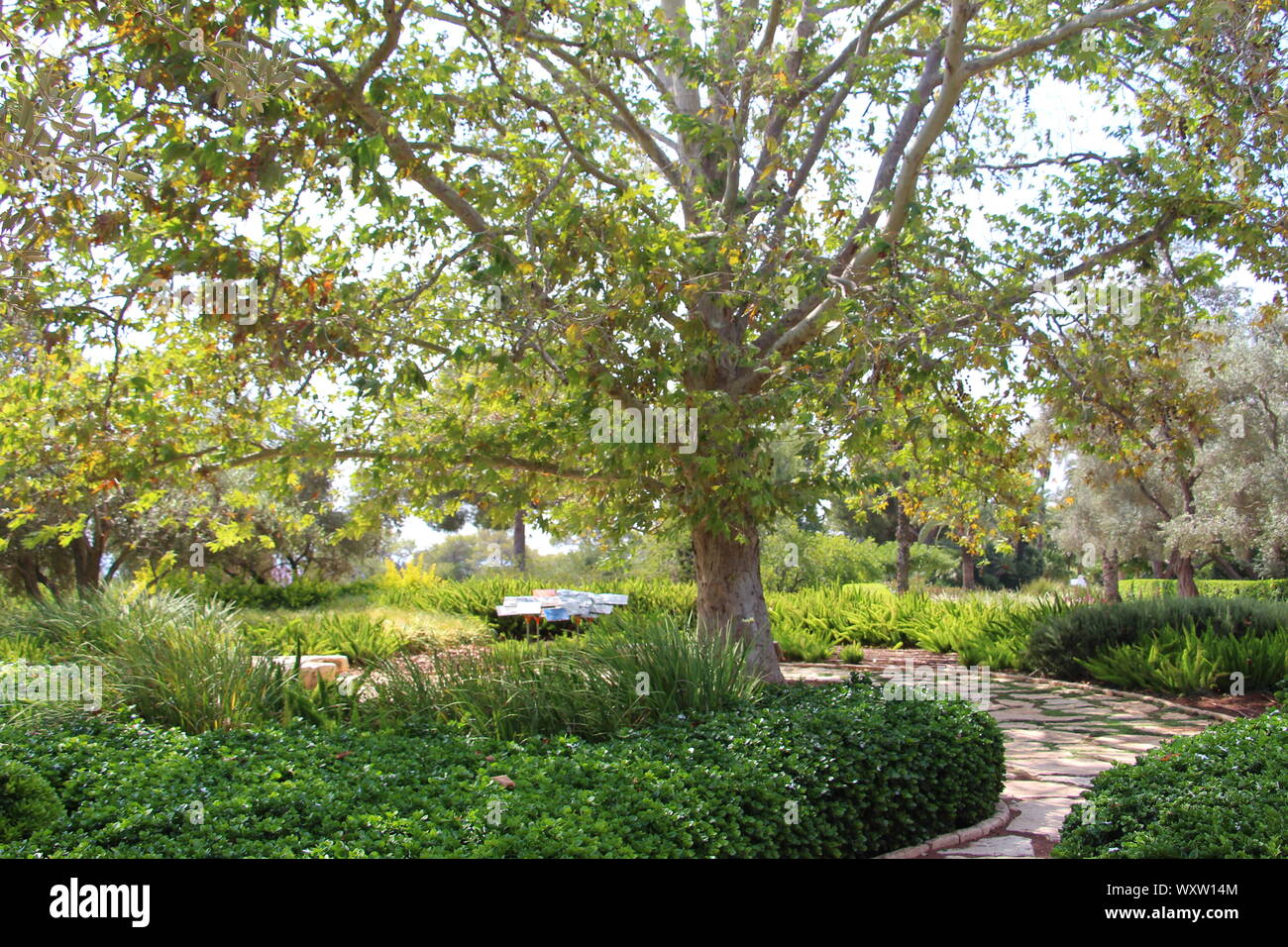 Garden in Israel Stock Photo - Alamy