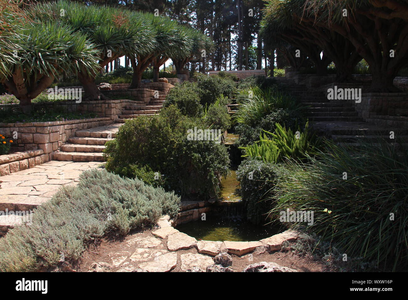Garden in Israel Stock Photo - Alamy
