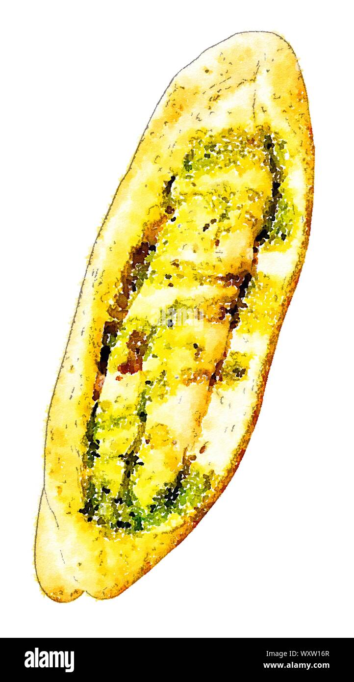 Closeup of colorful watercolor hand-painted art illustration : garlic ...