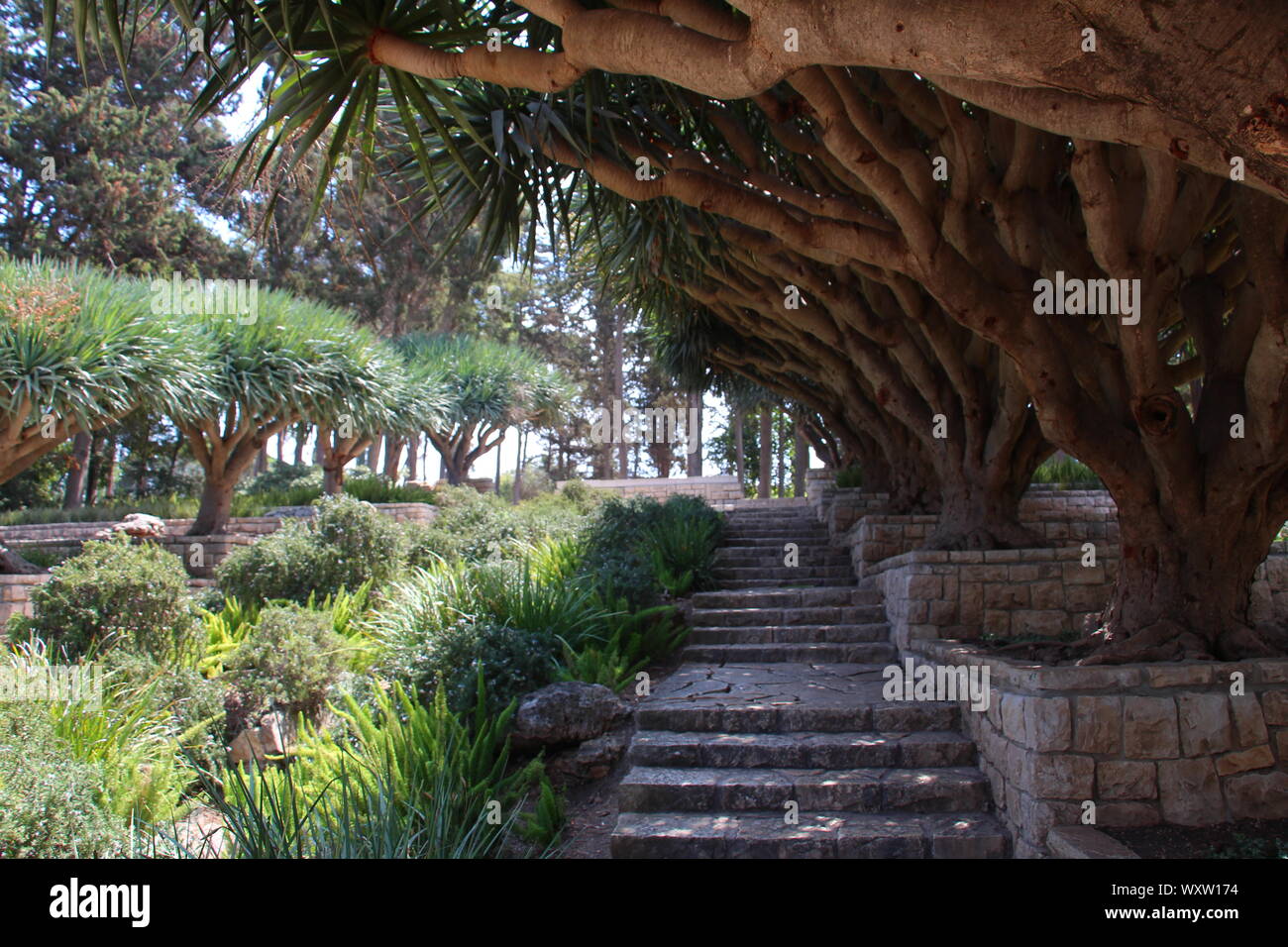 Garden in Israel Stock Photo - Alamy