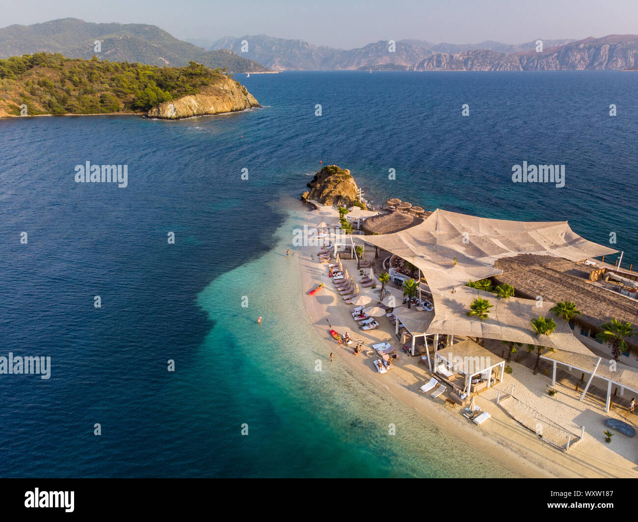 D maris hi-res stock photography and images - Alamy