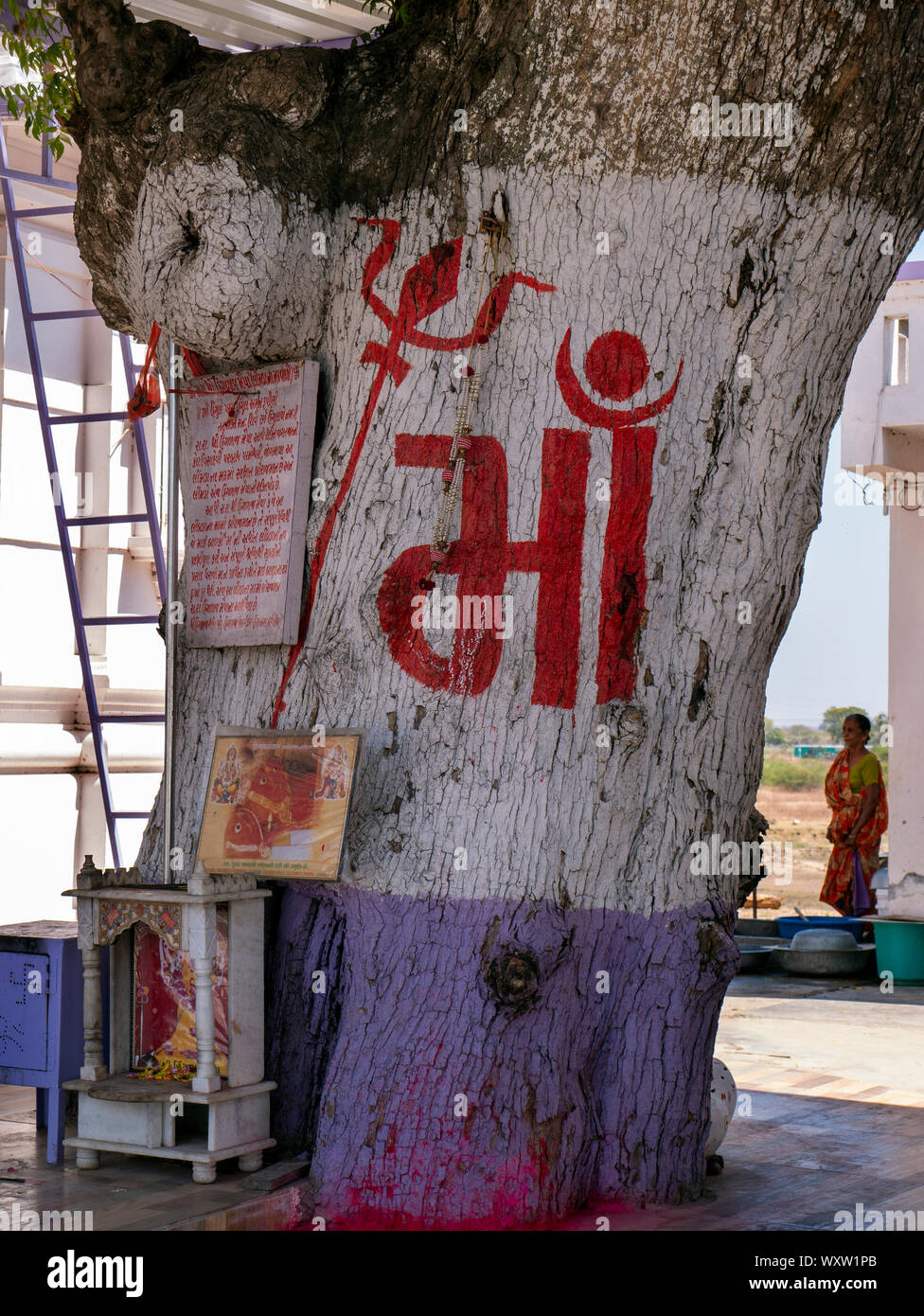 04 Mar 2019 hough neem tree trunk at Hinglaj Mata Temple at Hinglaj ...