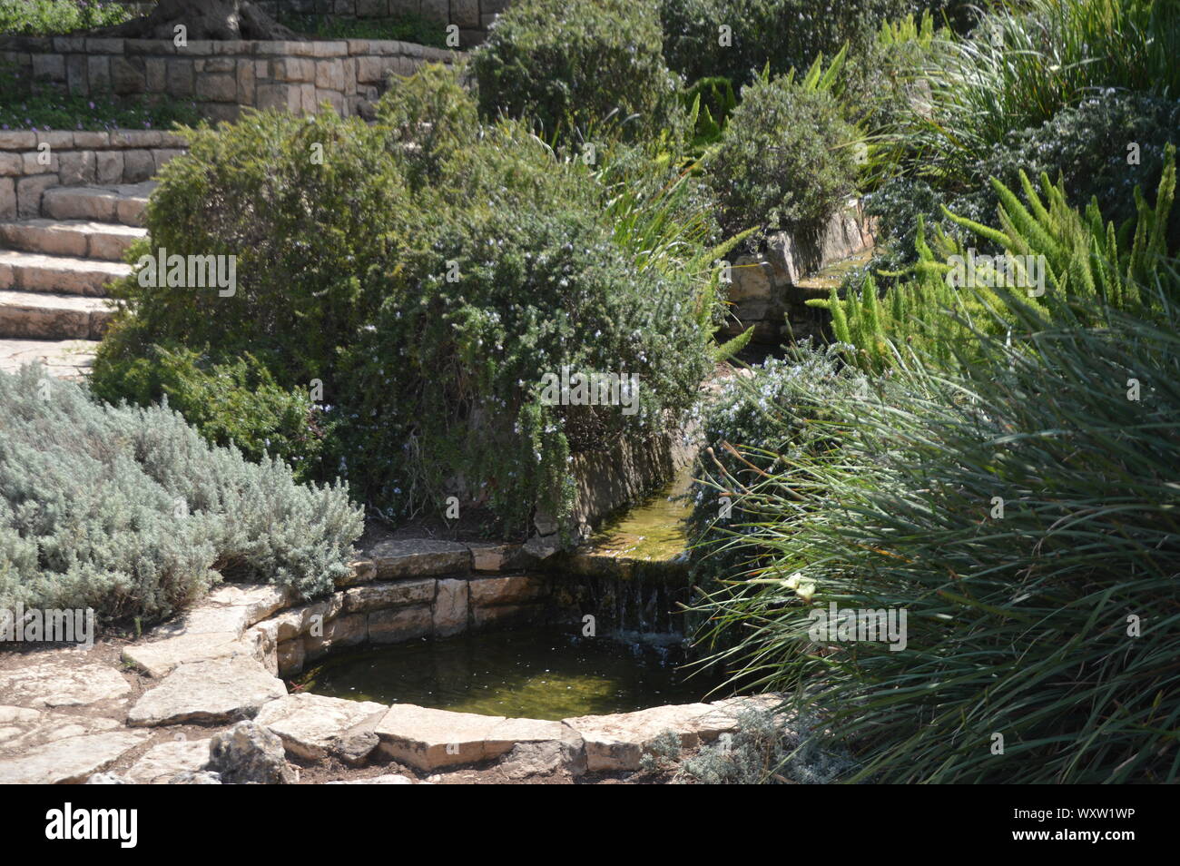 Garden in Israel Stock Photo - Alamy