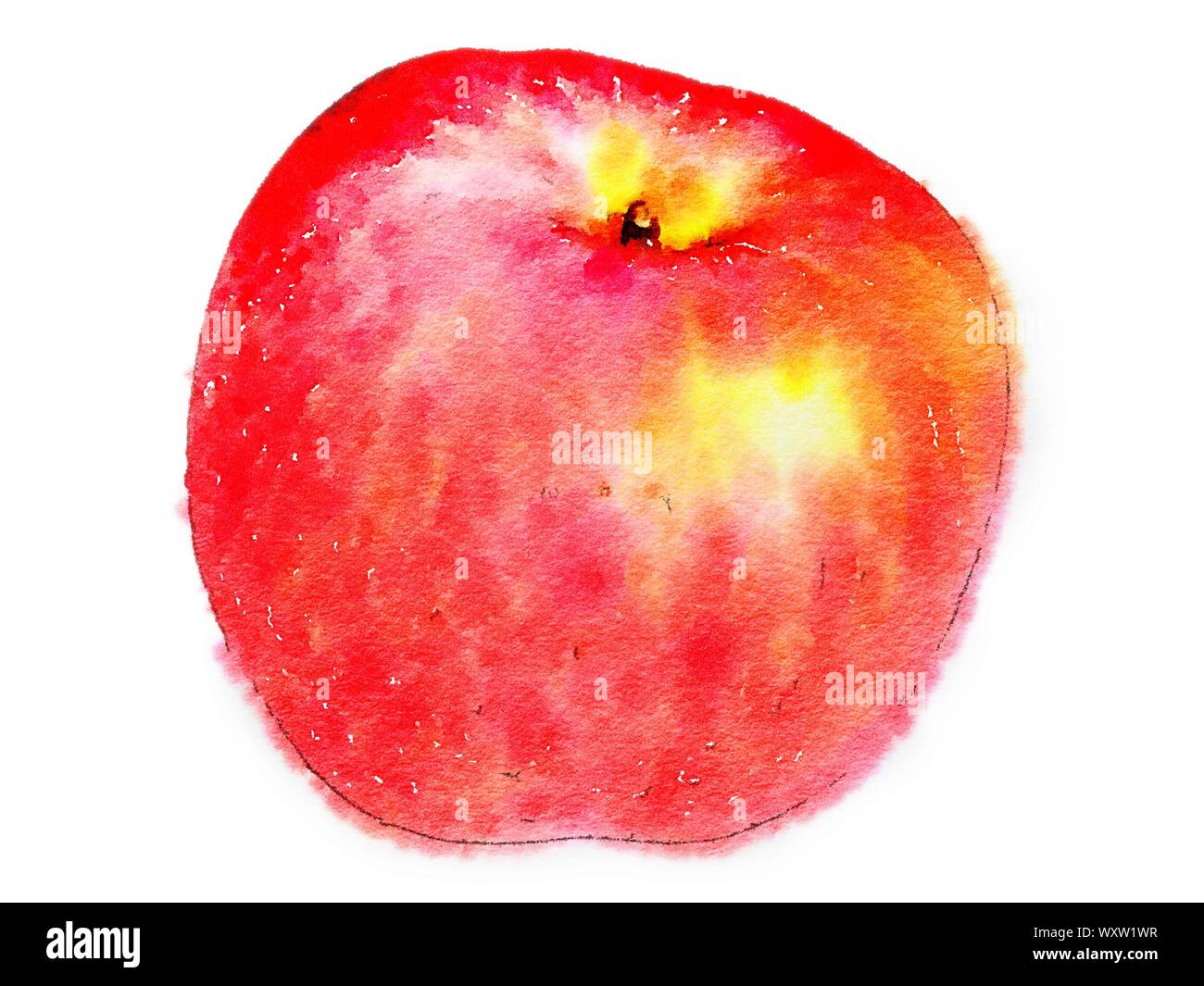 Closeup of colorful watercolor hand-painted art illustration : apple ...