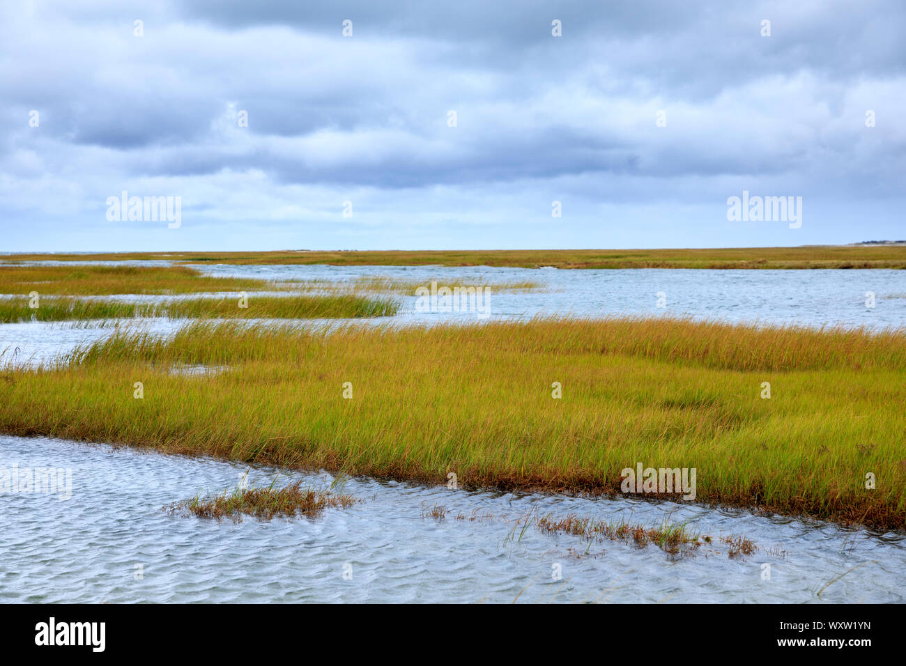 Cape cod atlantic hi-res stock photography and images - Alamy
