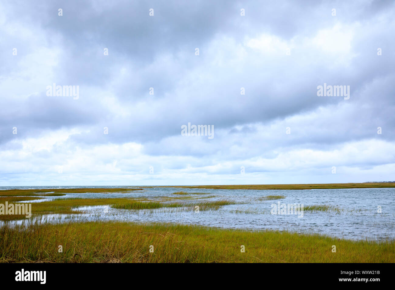 Salt marsh by Atlantic Ocean on Cape Cod, New England, USA Stock Photo ...