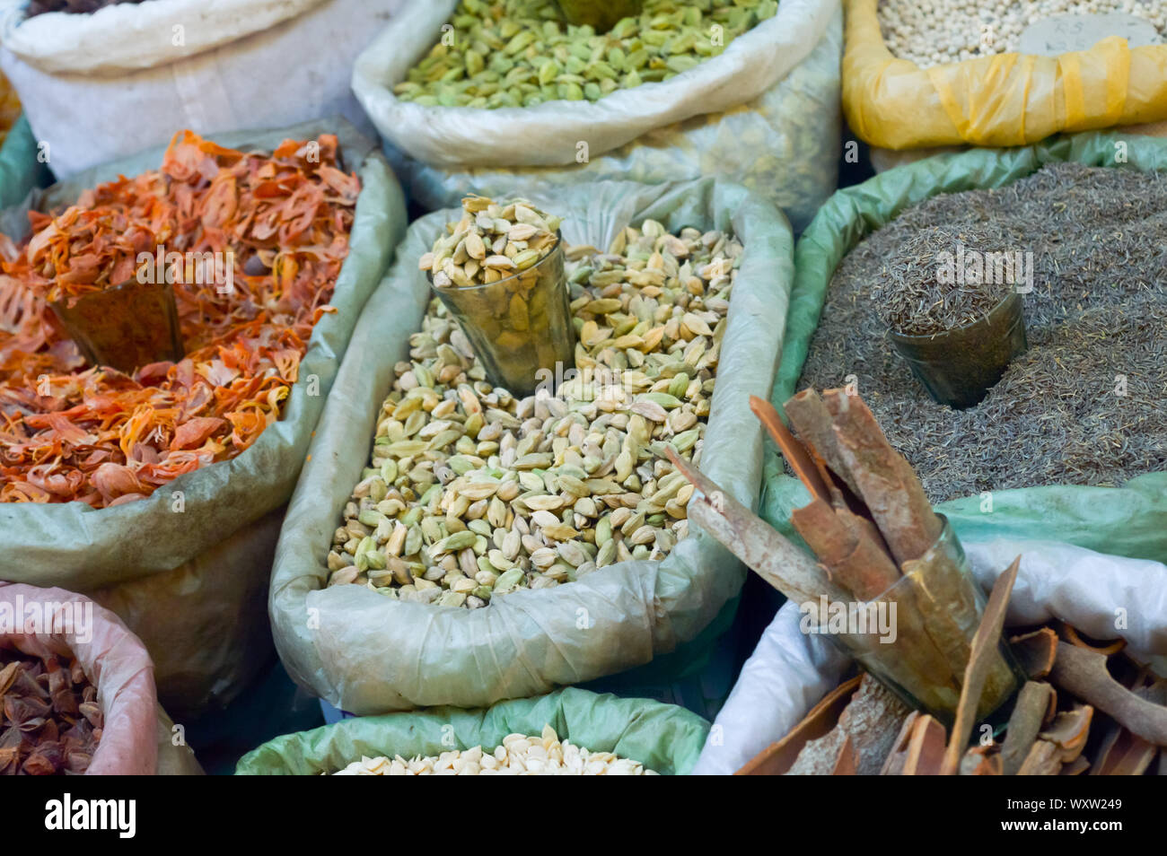 Various colorful essential Indian Himalayas traditional spices, herbs ...