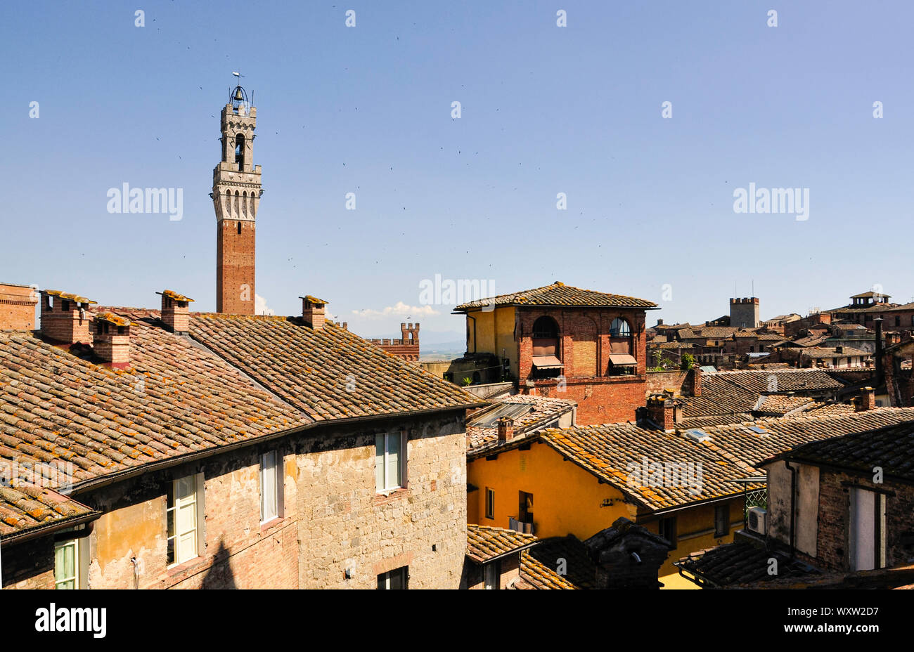 Rooftop view of Siena, Italy with the ancient tower, Torre del Mangia ...