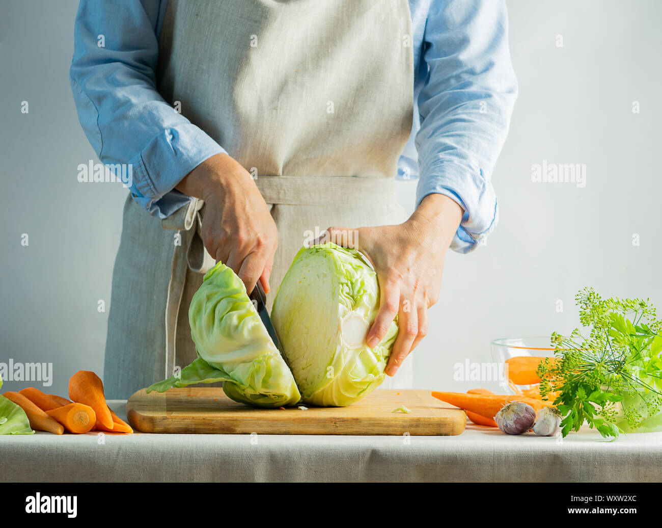 Woman slices fresh organic cabbage for making salad or for salting ...