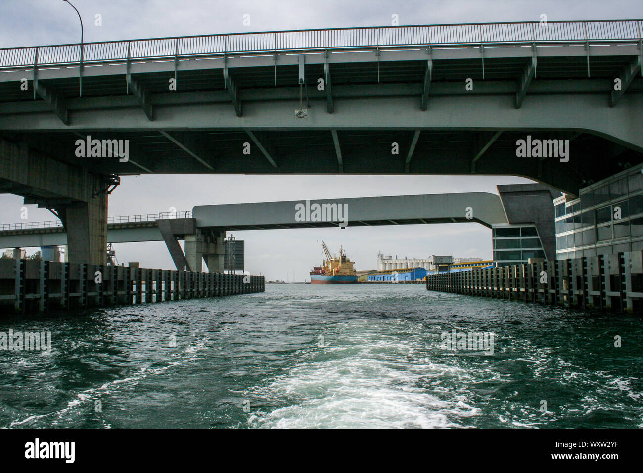 Old Container Ship, Cruise around Port Adelaide, Dolphin watching tour ...