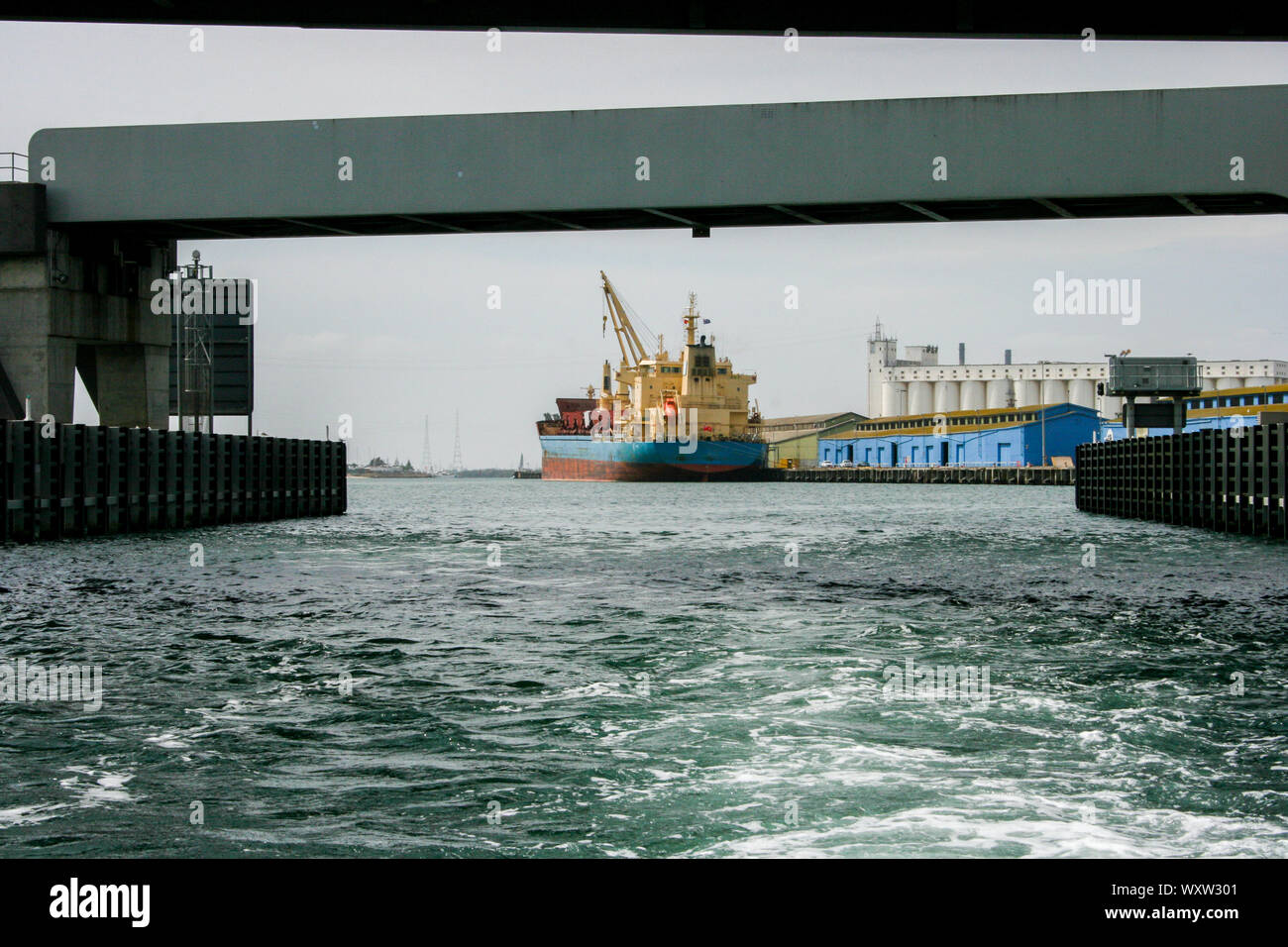 Old Container Ship, Cruise around Port Adelaide, Dolphin watching tour ...