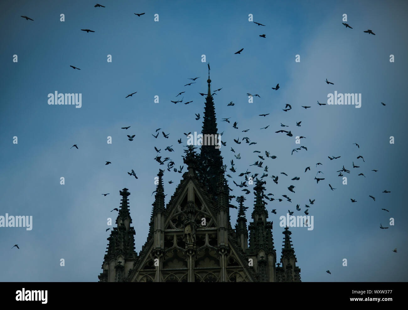 Birds and gothic church. Medieval architecture, dramatic sight, classy ...
