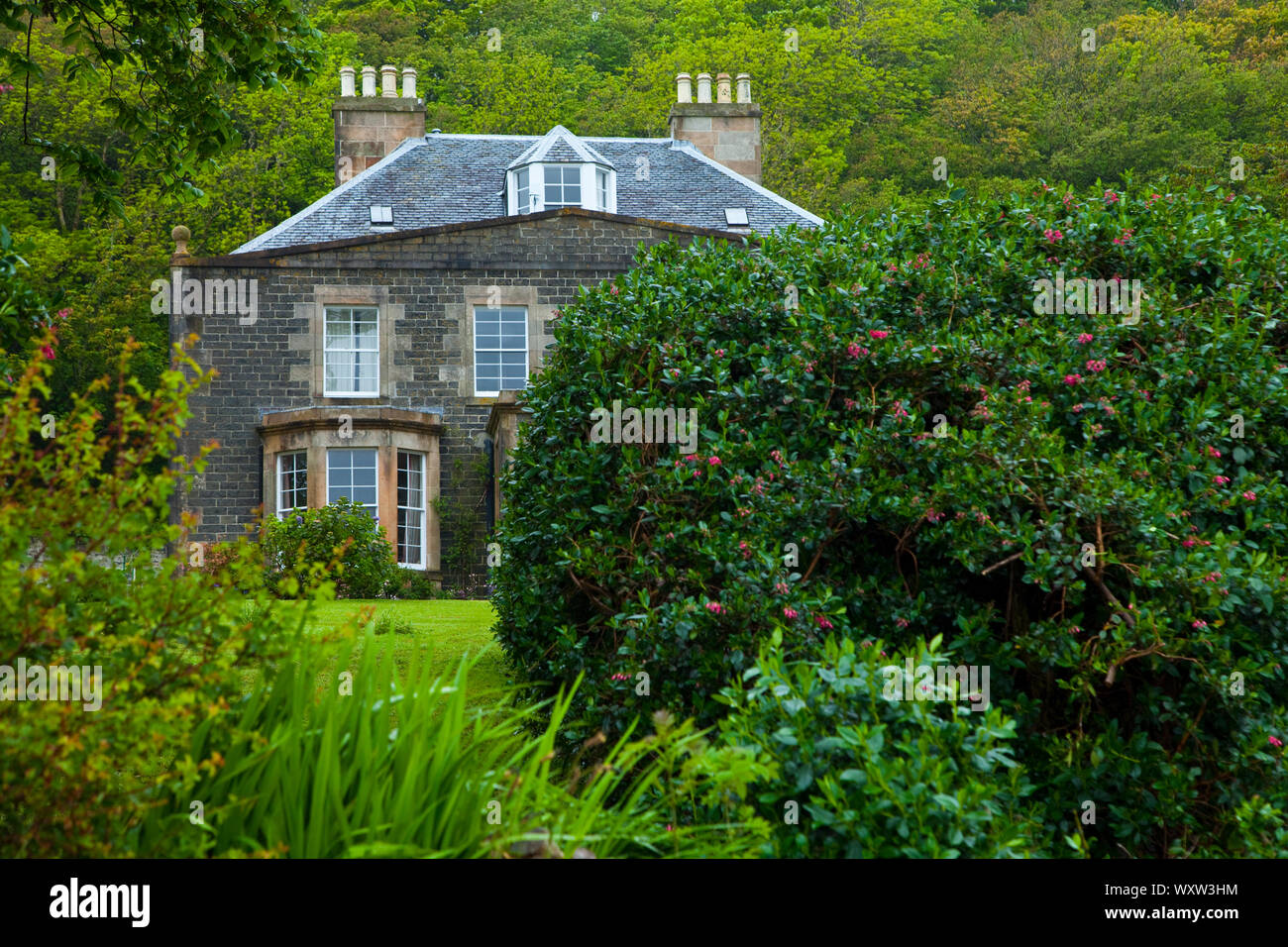 Canna house hi-res stock photography and images - Alamy