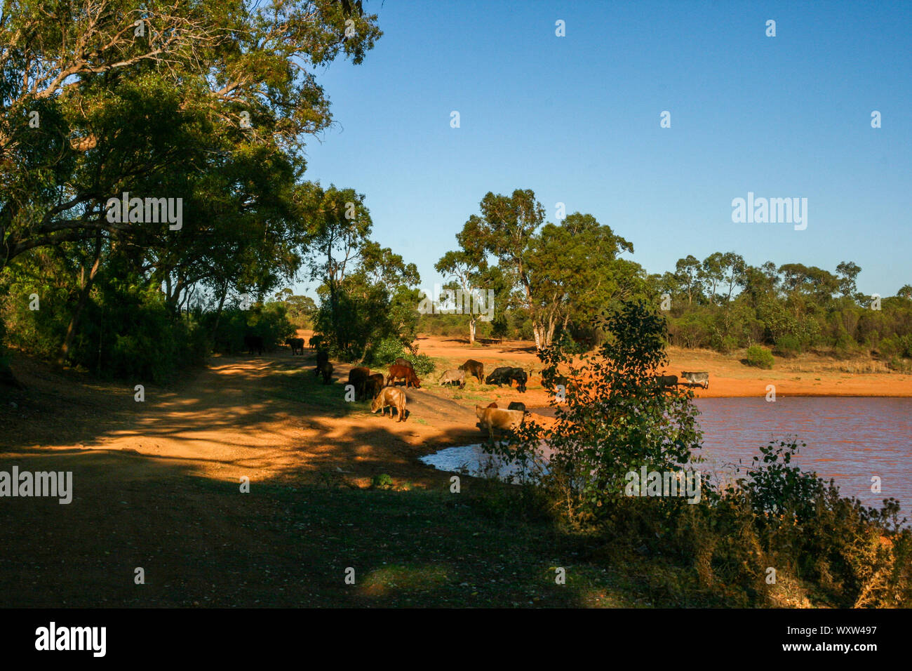 Australia outback driving trip hi-res stock photography and images - Alamy