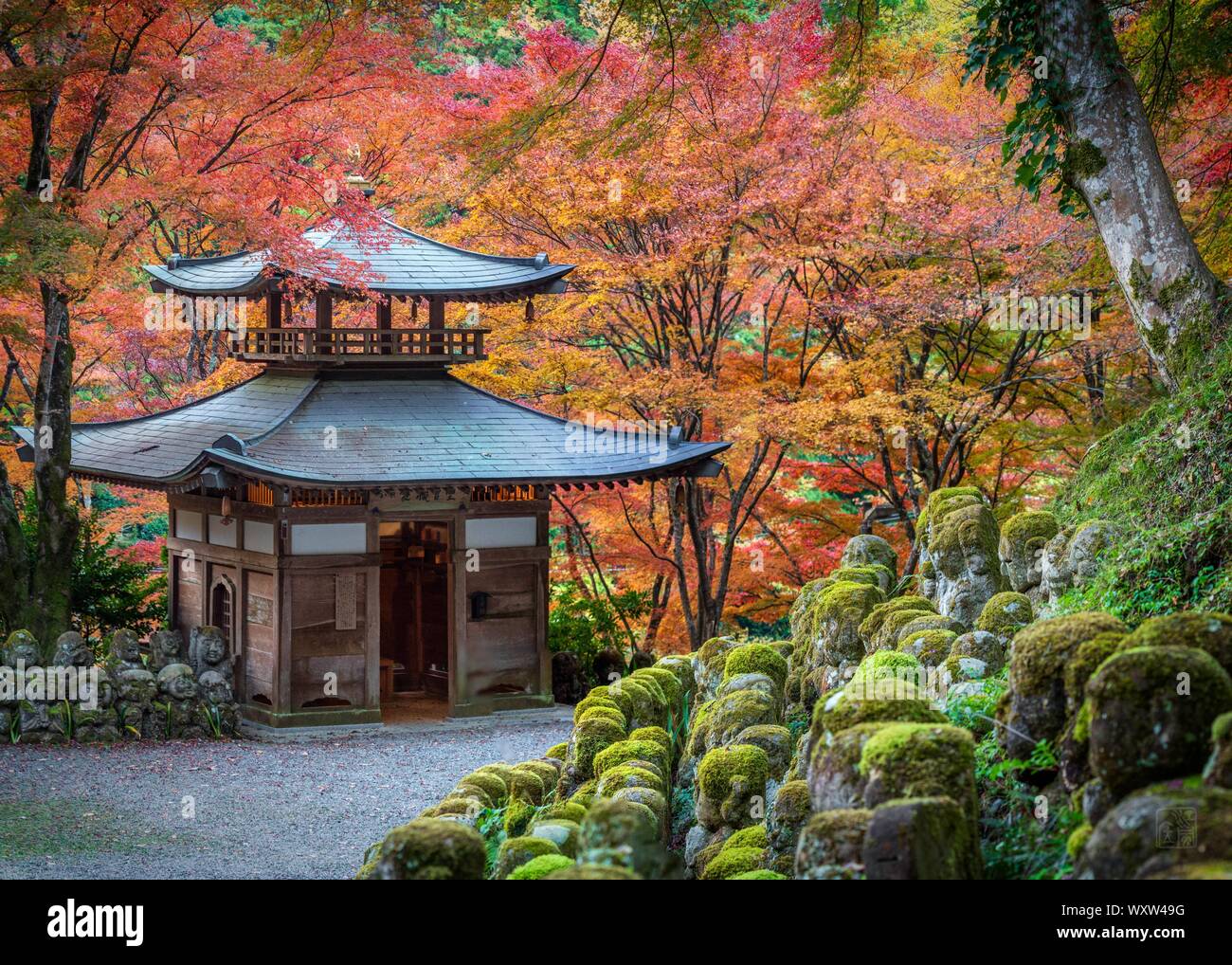 Otagi hi-res stock photography and images - Alamy
