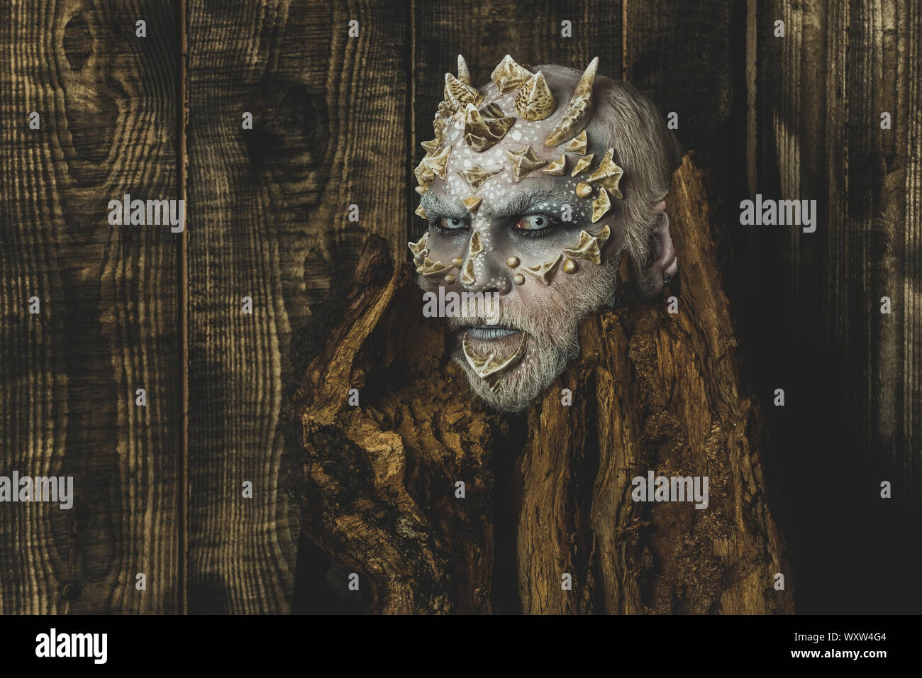 Warts on bark hi-res stock photography and images - Alamy