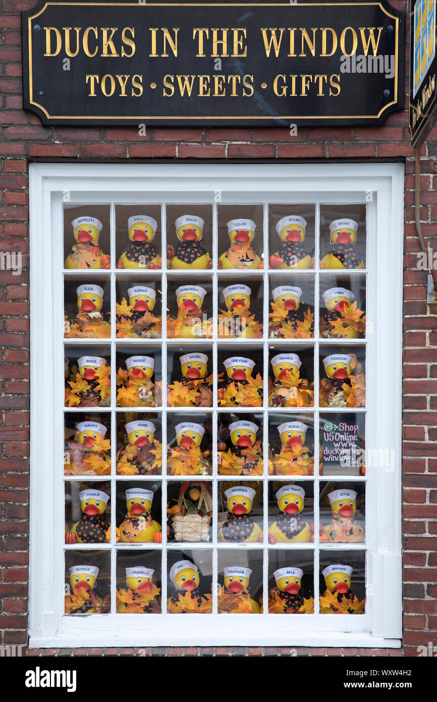 Ducks in the Window store in High Street at Chatham, Cape Cod New ...