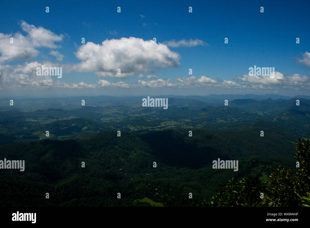 Best of All lookout track, Springbrook National Park, Queensland ...