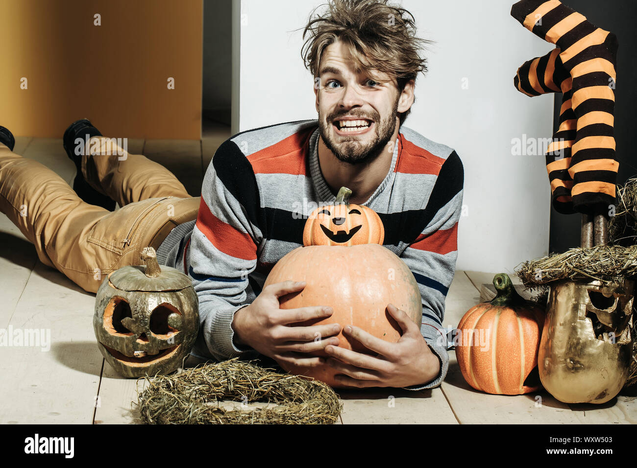 Smiling gourds hi-res stock photography and images - Alamy