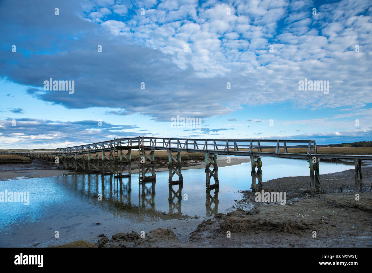 Wooden boardwalk bridge over tranquil creek and salt marsh in ...