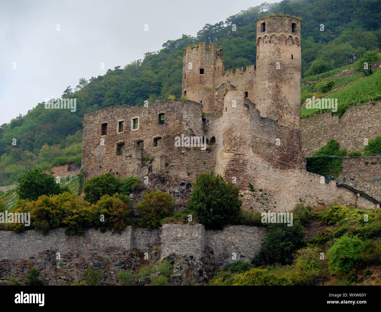 the romantic rhine Stock Photo - Alamy