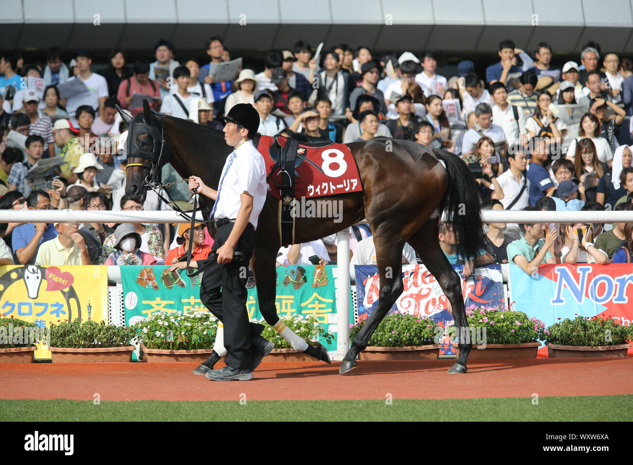 Hyogo, Japan. 15th Sep, 2019. Victoria Horse Racing : Victoria is led ...