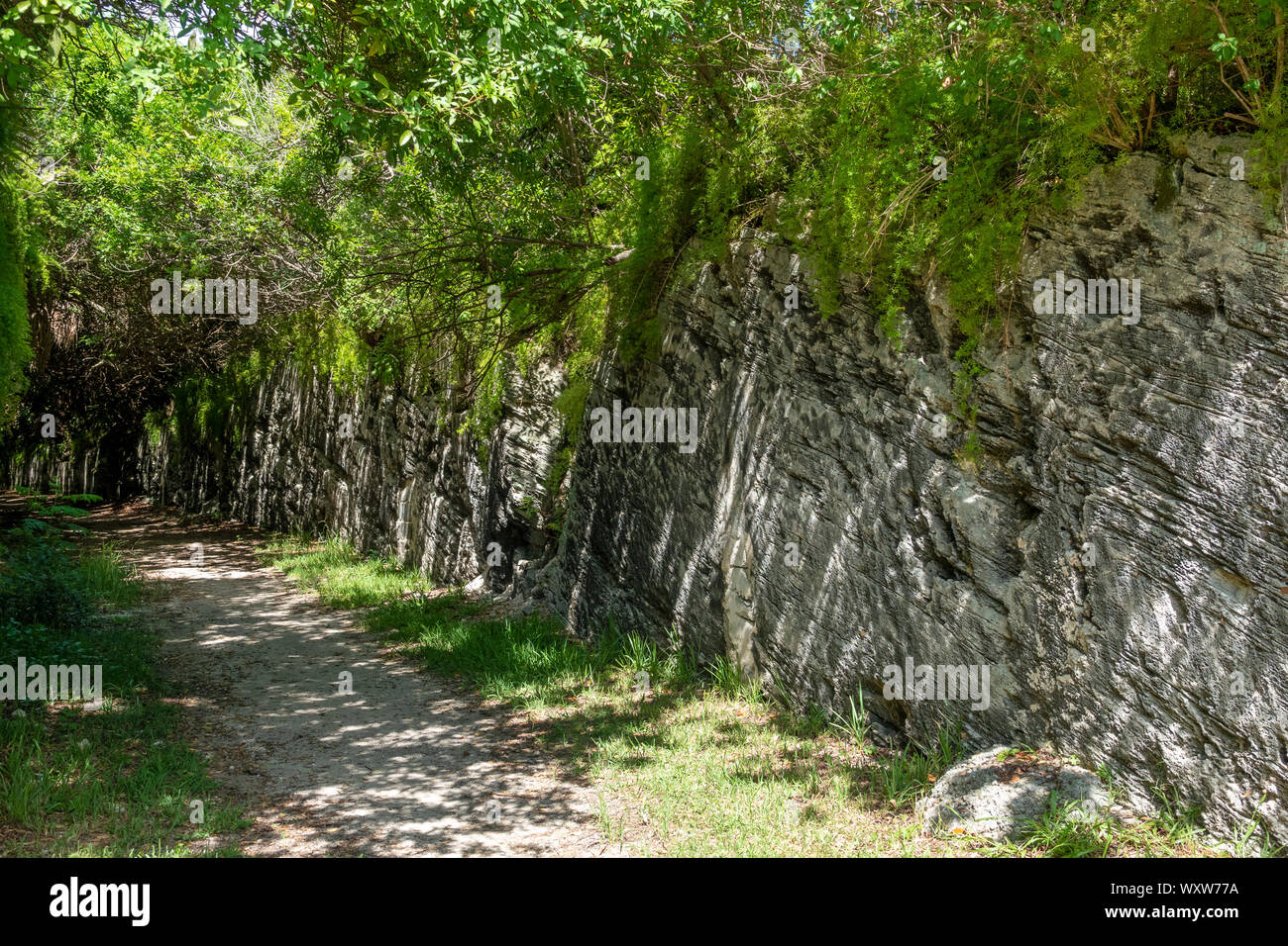 Bermuda railway trail national park hi-res stock photography and images ...