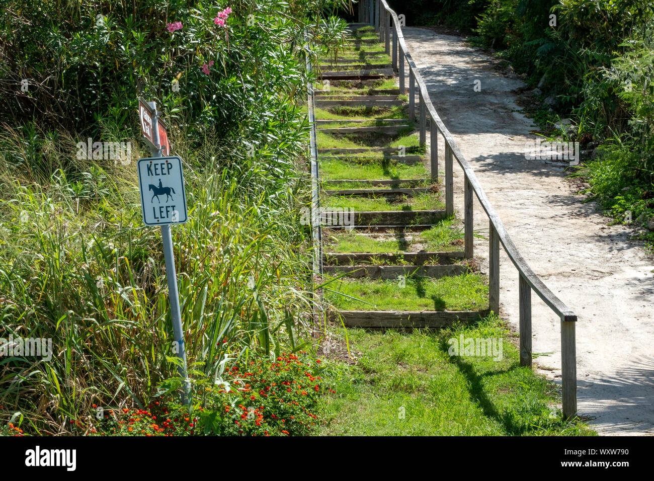 A section of the Railway Trail on the Island of Bermuda Stock Photo - Alamy