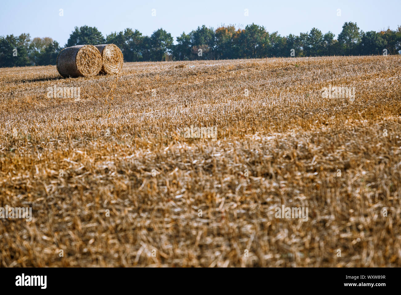 Hay bail harvesting in wonderful autumn farmers field landscape with ...