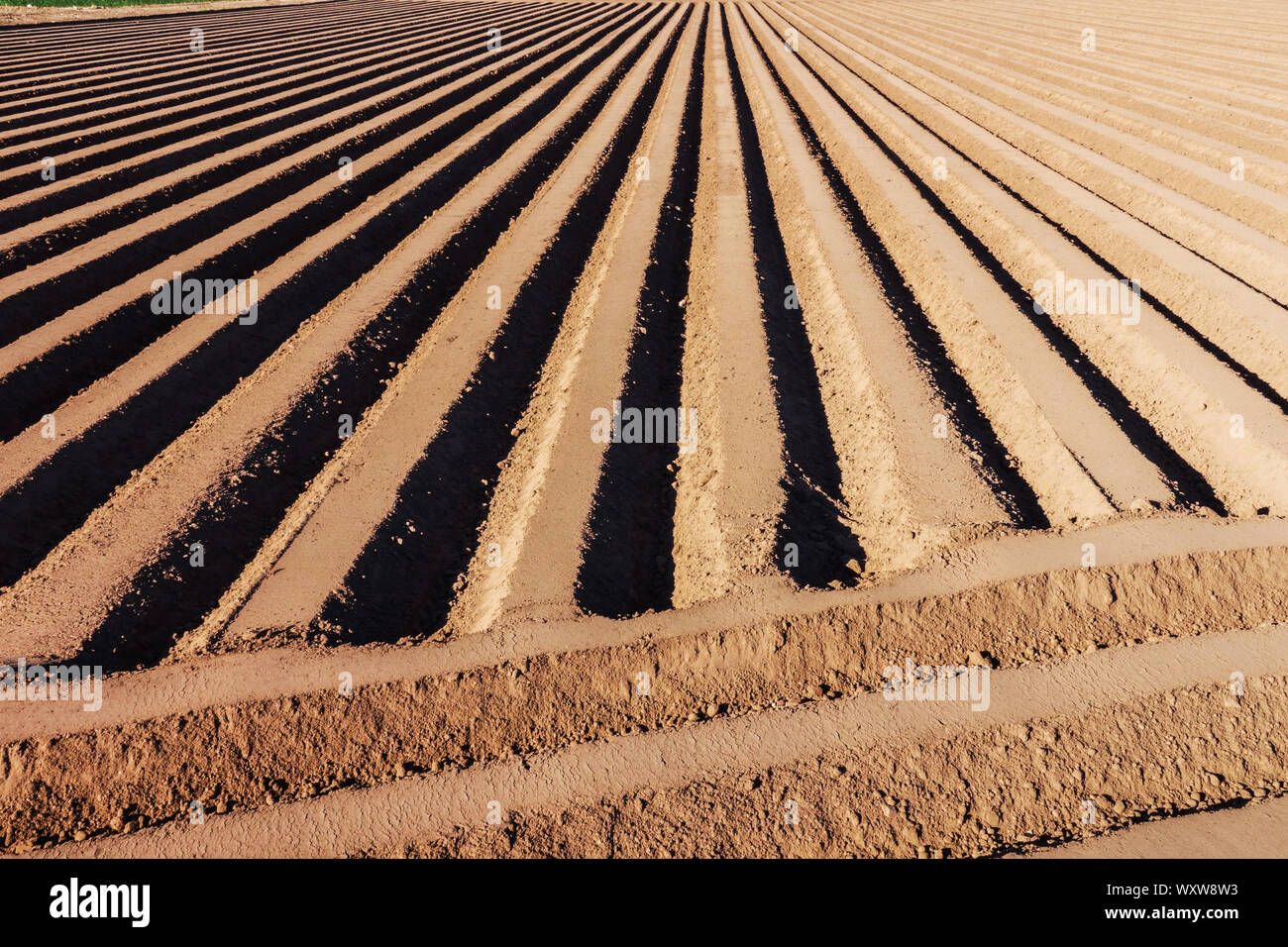 Farm structures hi-res stock photography and images - Alamy