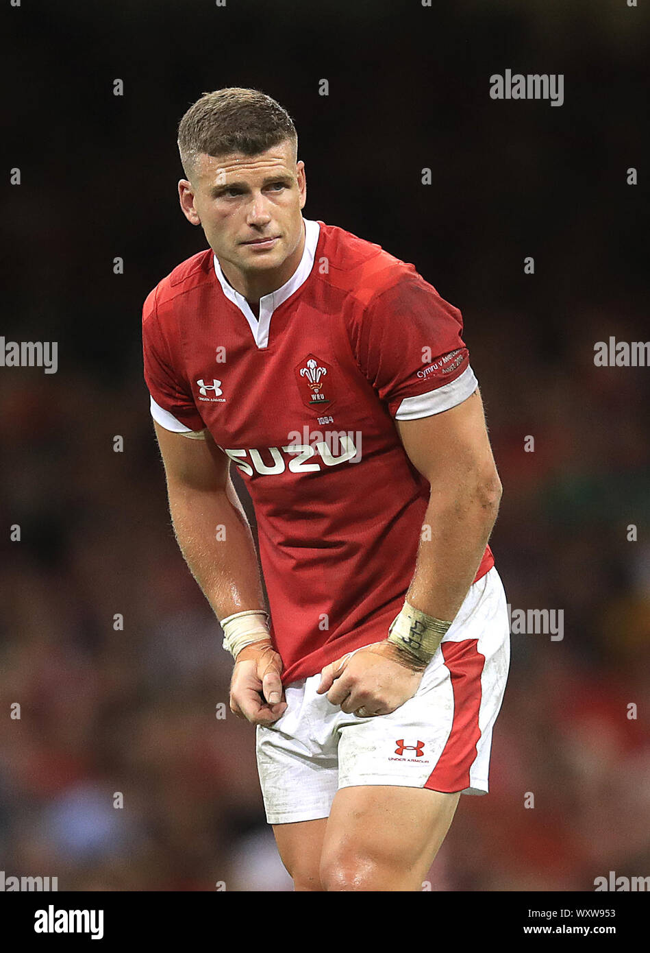 Half length mid rugbyu wales hi-res stock photography and images - Alamy