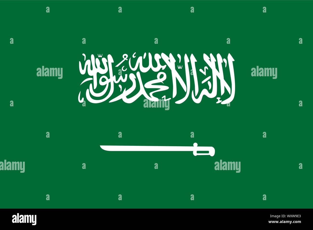 Green flag of saudi arabia with a sword. The correct size, proportion 2 ...