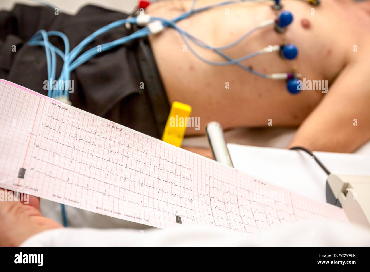 The cardiologist holding and review the electrocardiograph EKG or ECG ...