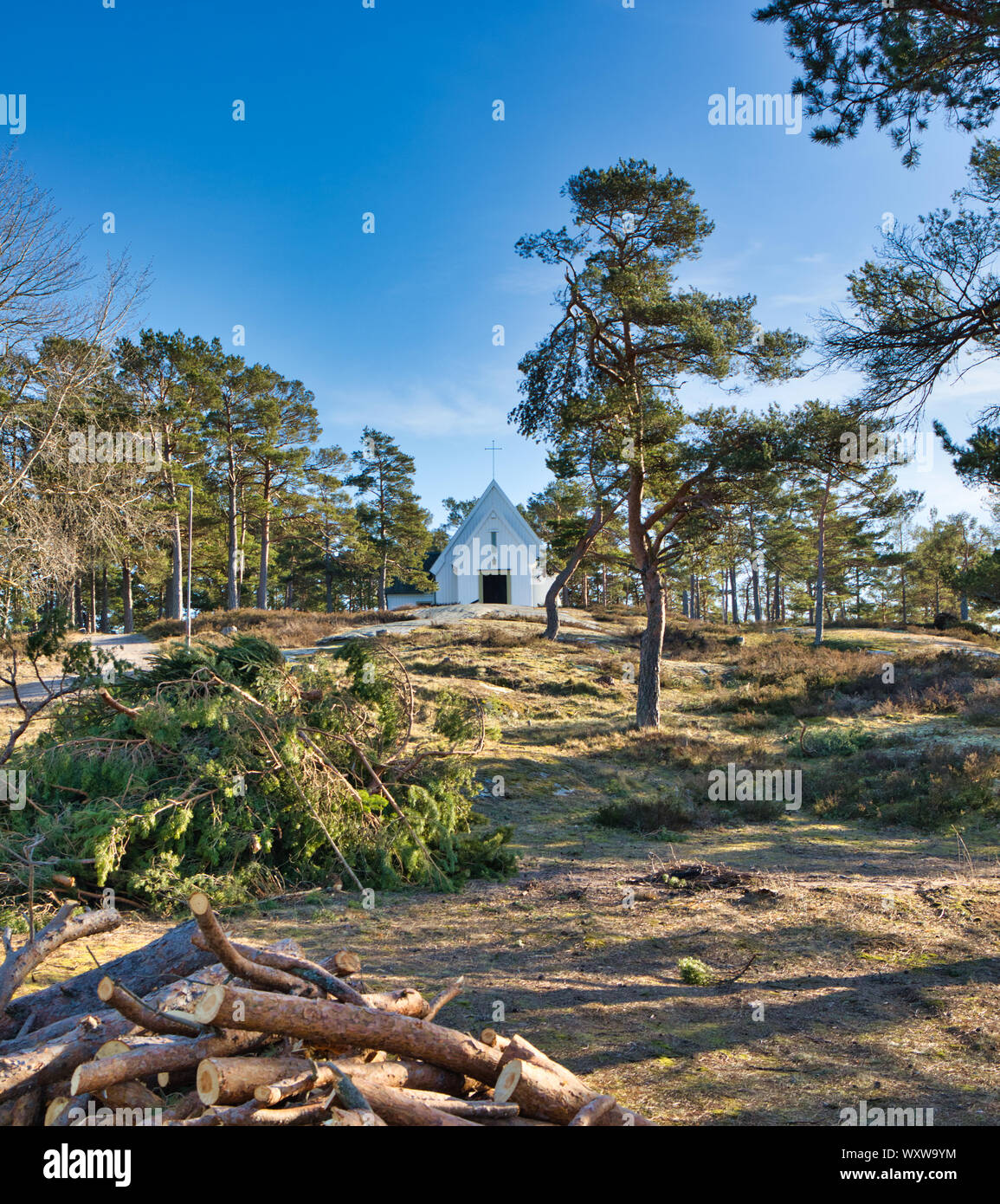 Trees, freshly cut logs and tiny wooden Sandhamn chapel, Sandhamn ...