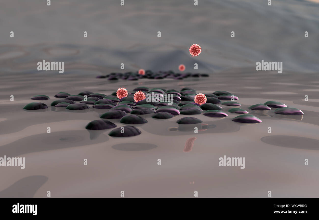 3d rendered cancer cell, Clusters of cells, Cancer cell and Lymphocytes ...
