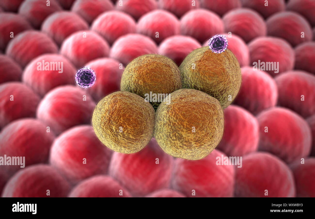 3d rendered cancer cell, Cancer cell and Lymphocytes, T-lymphocytes ...