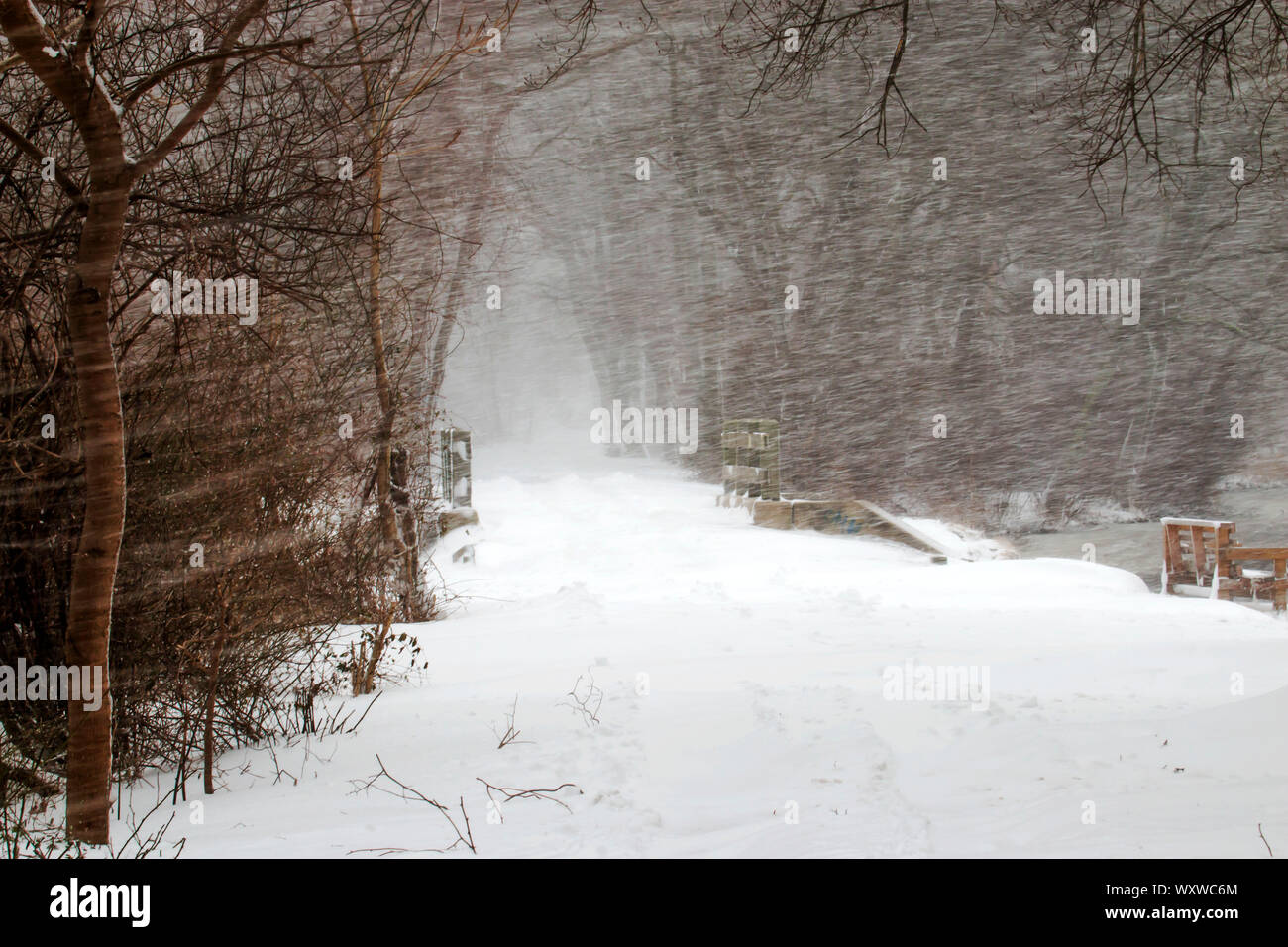 Snow blowing sideways at Southards Pond, Long Island New York Stock ...