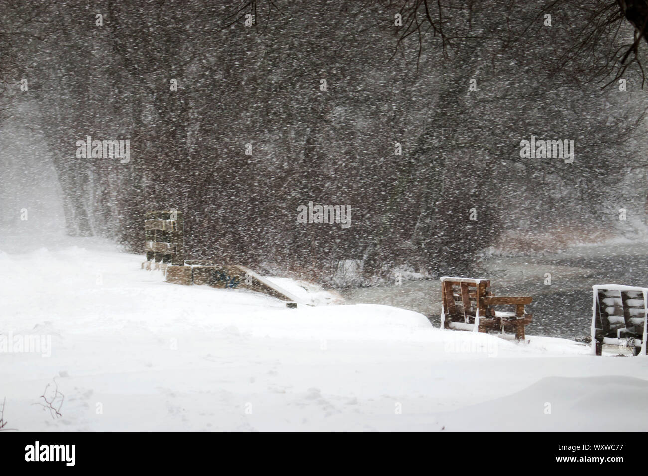 Park benches pond hi-res stock photography and images - Alamy
