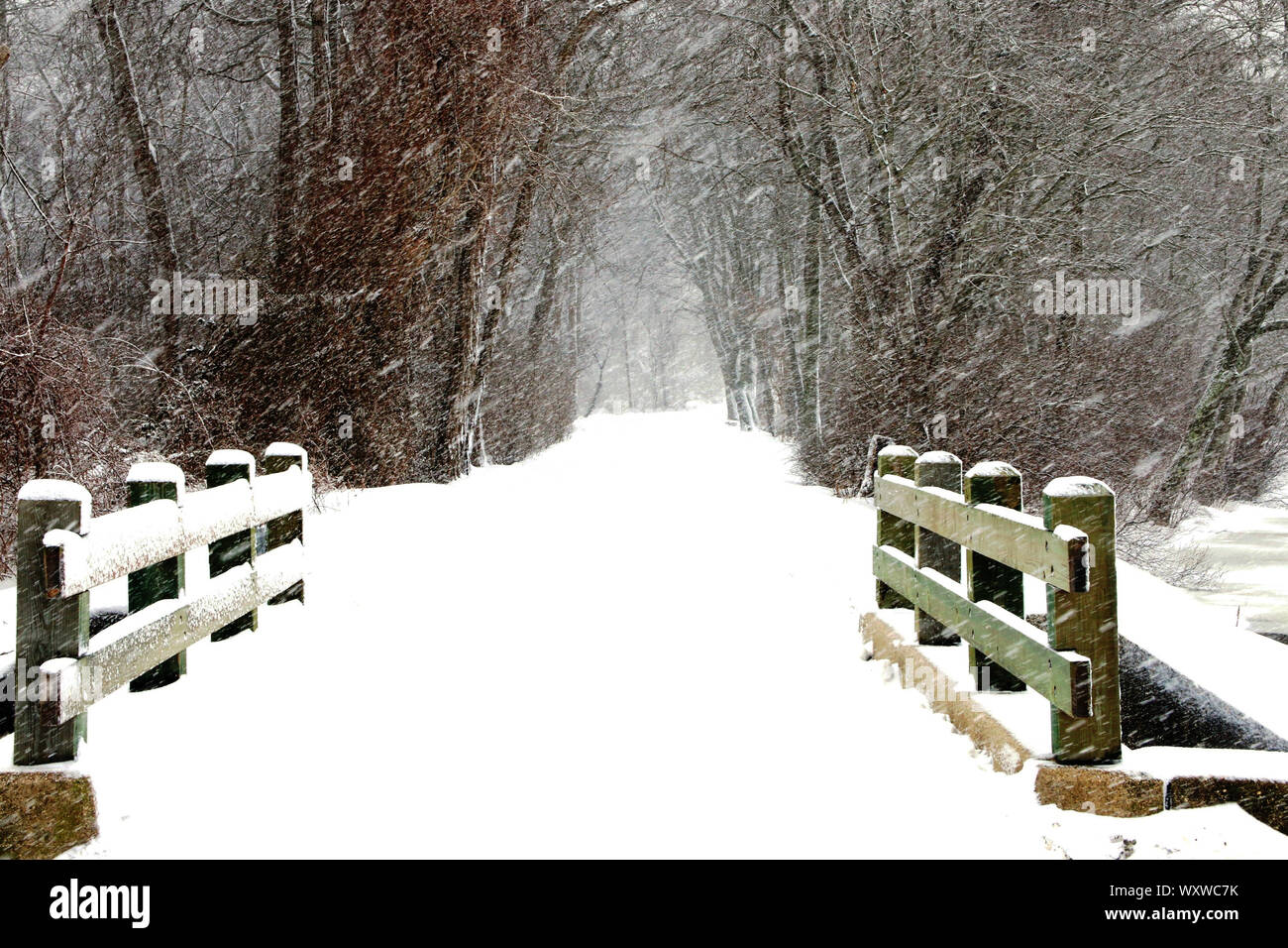 Sideways trees hi-res stock photography and images - Alamy