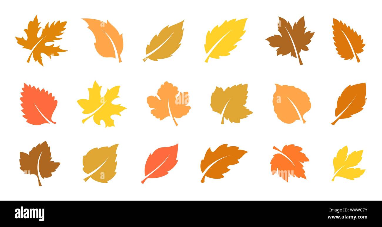 Autumn leaves set Stock Vector Image & Art - Alamy