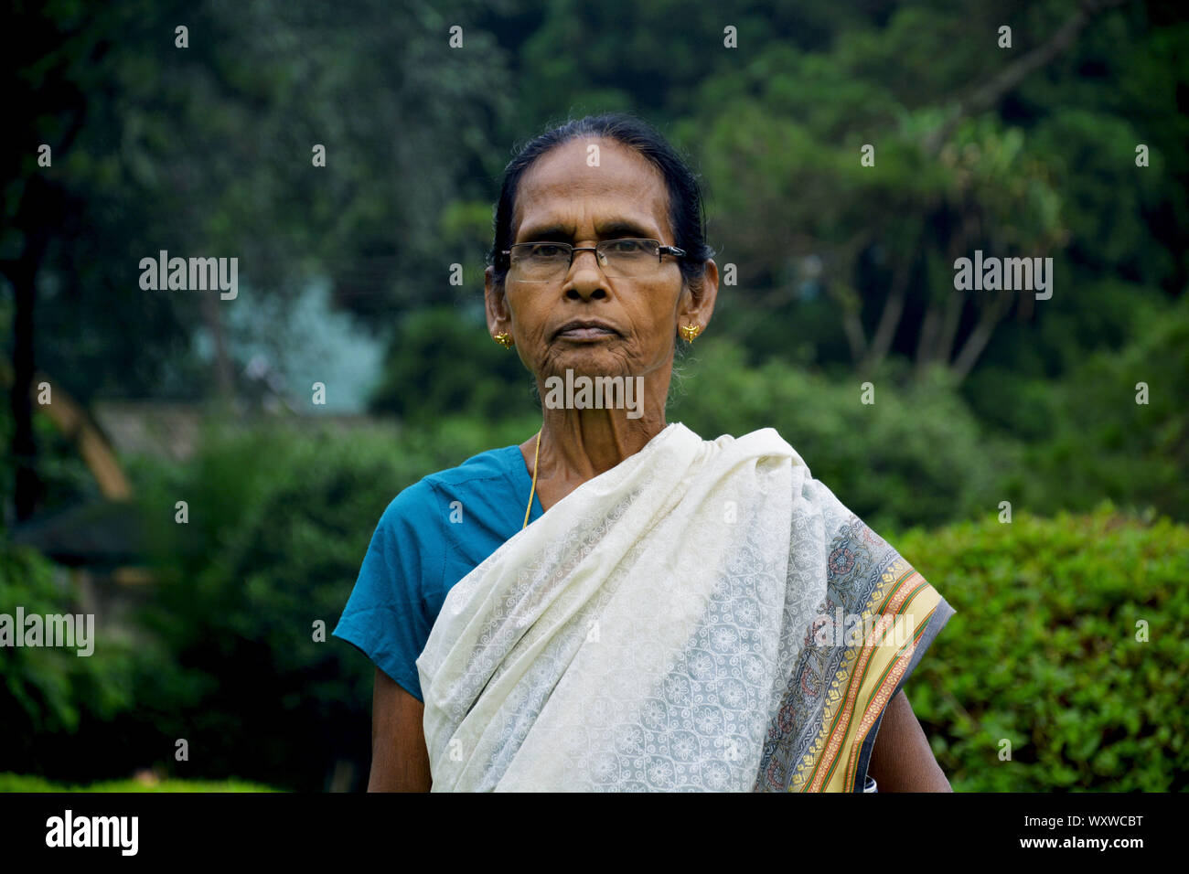 Portrait of old lady wearing white traditional Indian saree, blue ...
