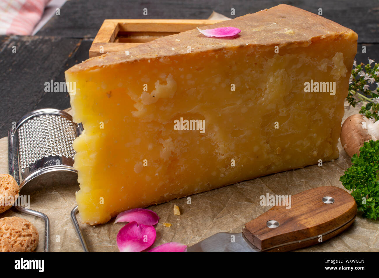 Cheese collection, aged yellow hard, Maniva cheese from Alpine valleys ...