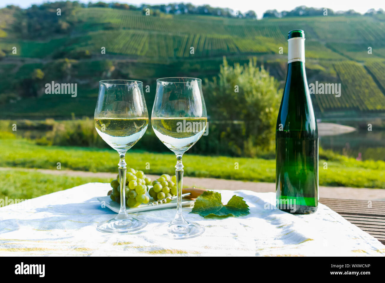 Famous German quality white wine riesling, produced in Mosel wine regio ...