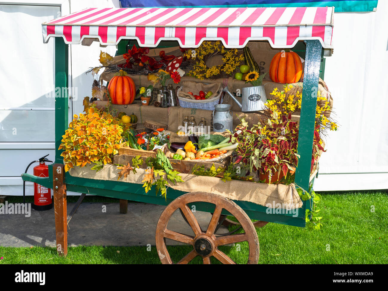 Belfast botanic gardens september hi-res stock photography and images ...