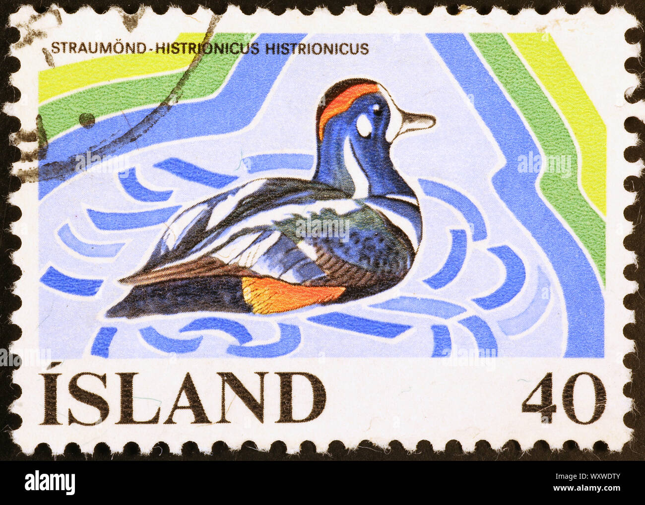 Harlequin duck on icelandic postage stamp Stock Photo - Alamy
