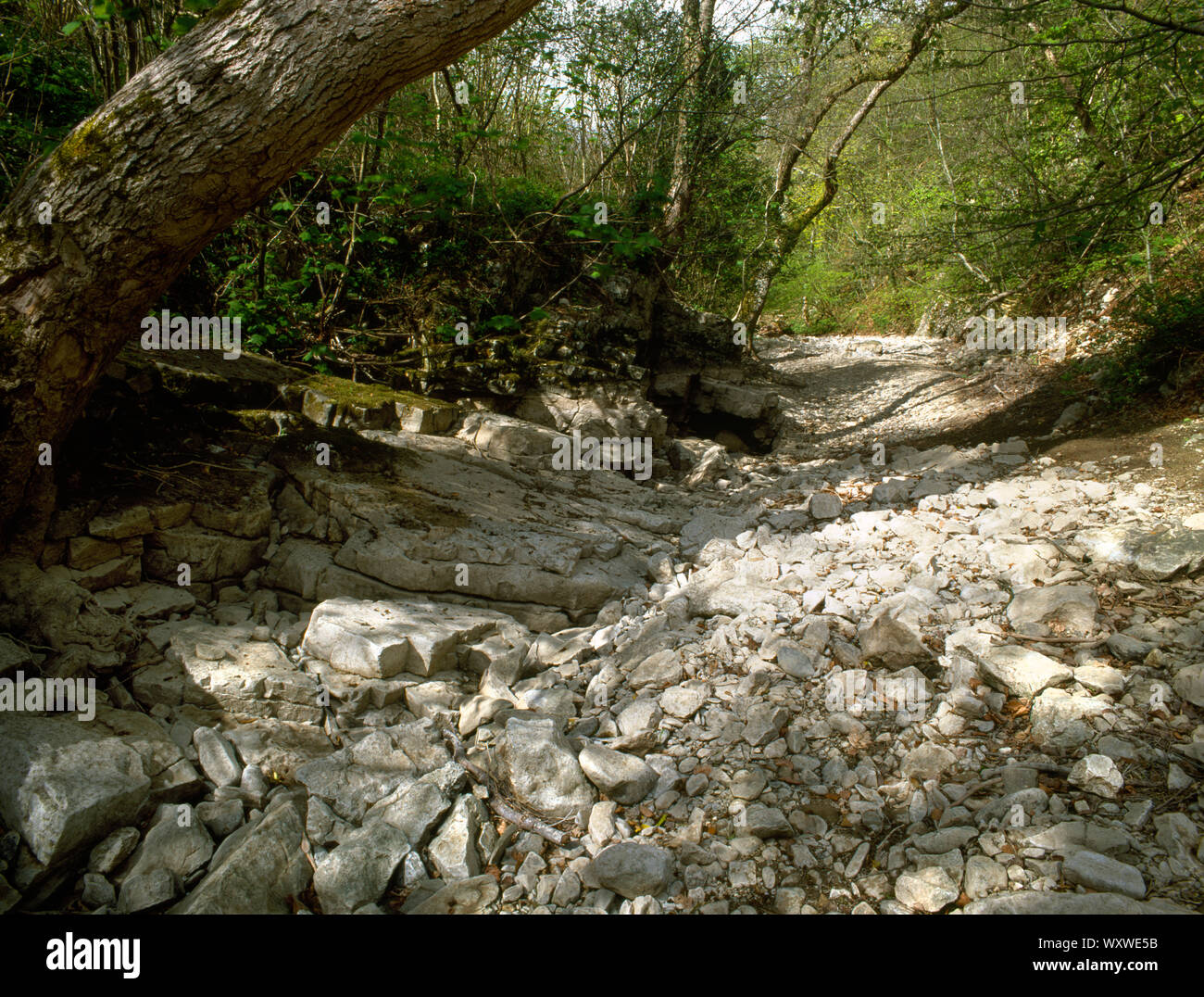 View downstream of the dry river bed of Afon Alyn, north of Loggerheads ...
