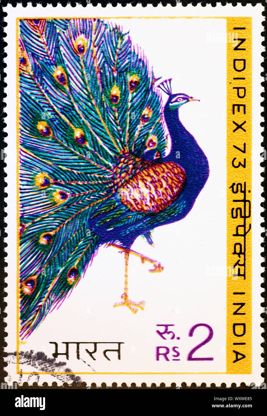 Beautiful peacock on indian postage stamp Stock Photo - Alamy