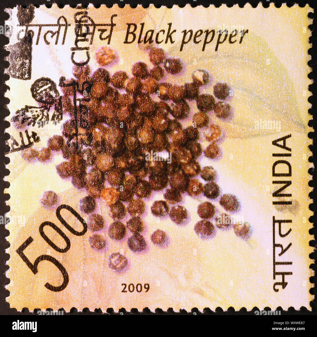 Black pepper on indian postage stamp Stock Photo - Alamy