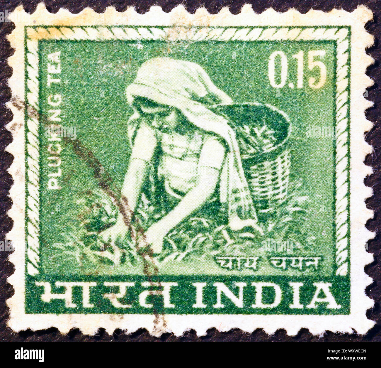 Indian woman harvesting tea leaves on vintage postage stamp Stock Photo ...